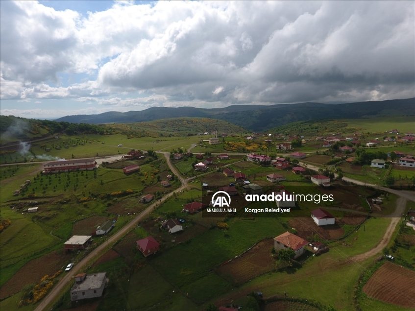 Orman gülleriyle cezbeden Korgan Yaylası misafirlerini ağırlamaya ...