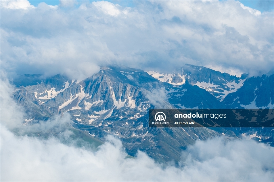 'Mar de nubes' en Huser Highland en Rize, Turquía - Anadolu Ajansı