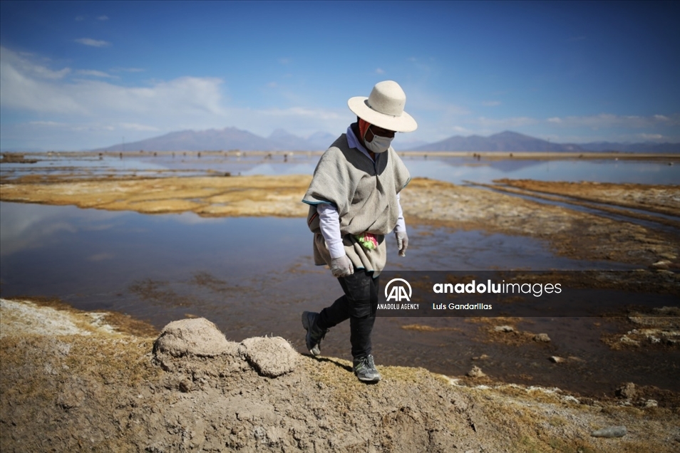 Uru chipaya, la nación milenaria que sobrevive al paso del tiempo en ...