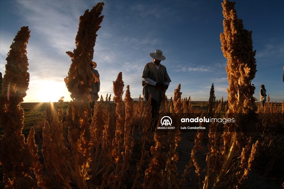 Uru chipaya, la nación milenaria que sobrevive al paso del tiempo en ...
