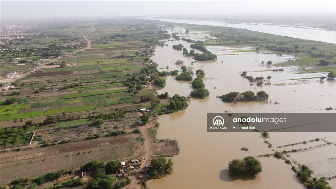 Sudan'ın Nil Nehri'ndeki su taşkınları tarım arazilerinde hasara yol ...