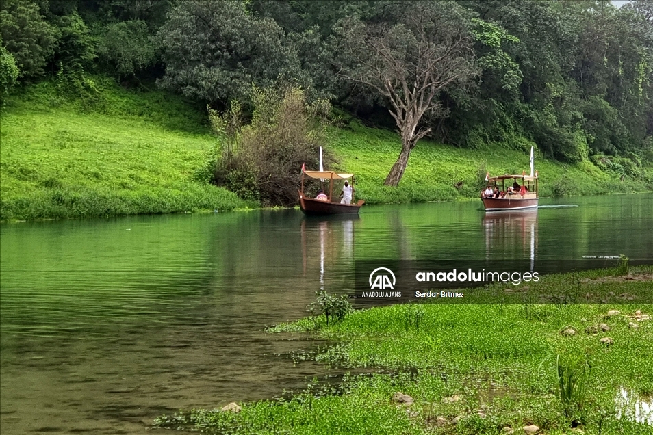 Umman'ın Zufar kenti doğal güzellikleriyle ilgi odağı oluyor - Anadolu ...