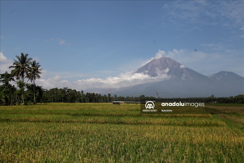 Pasca erupsi, Gunung Semeru masih semburkan asap vulkanik - Anadolu Ajansı
