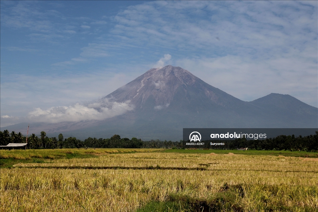 Pasca erupsi, Gunung Semeru masih semburkan asap vulkanik - Anadolu Ajansı