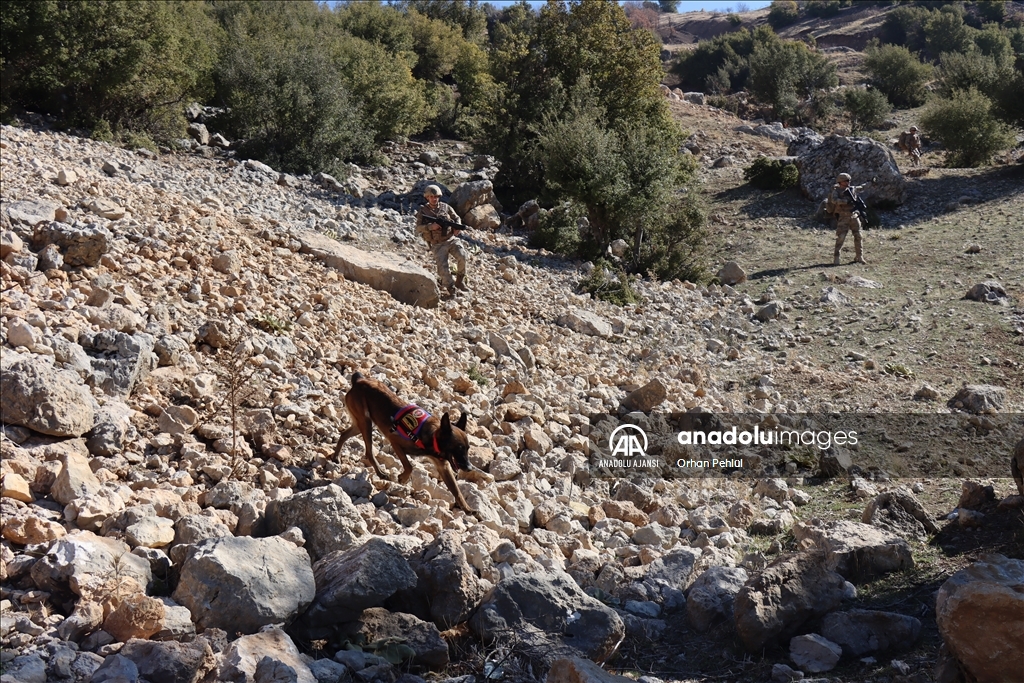 Hassas burun "Lady" PKK'nın 1 tonluk yaşam malzemesini buldu - Anadolu ...