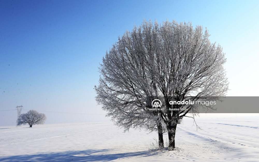 El invierno en la provincia turca de Mus deja unas asombrosas imágenes ...
