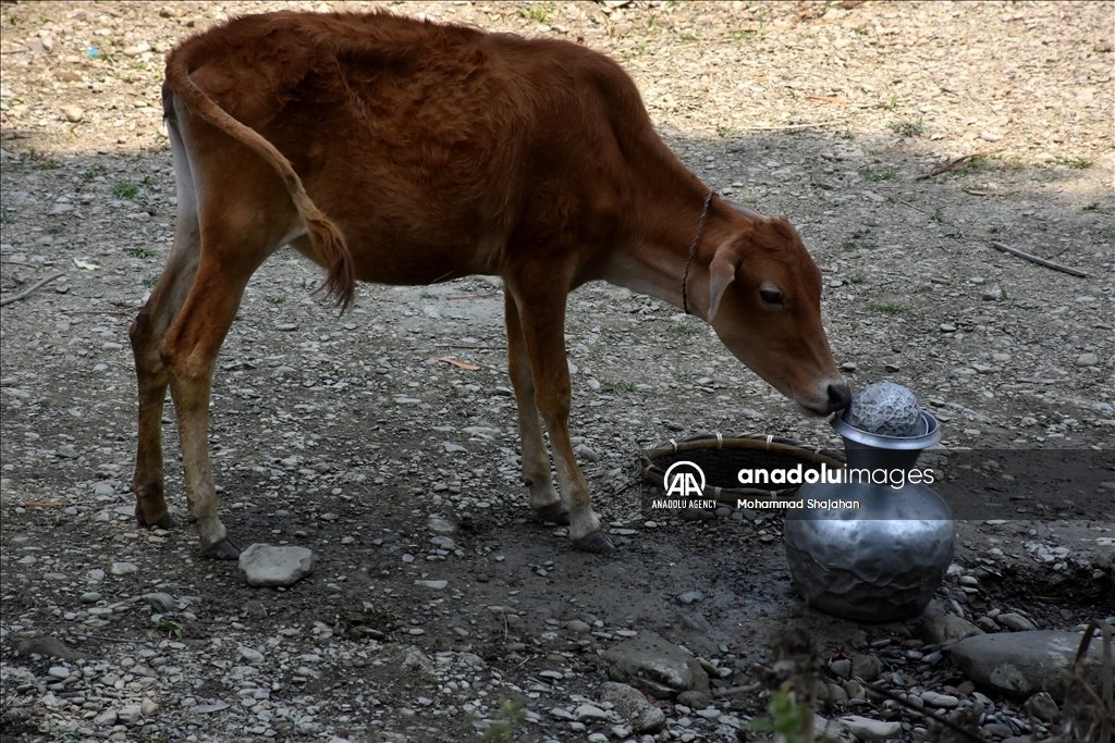 Extreme water crisis in Bangladesh's Chela Chhar village - Anadolu Ajansı