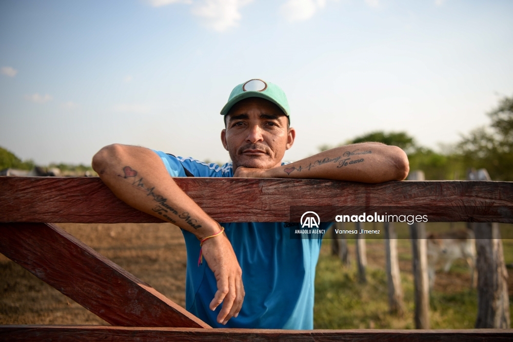 La nueva vida de las familias que regresaron a Chibolo tras haber sido ...