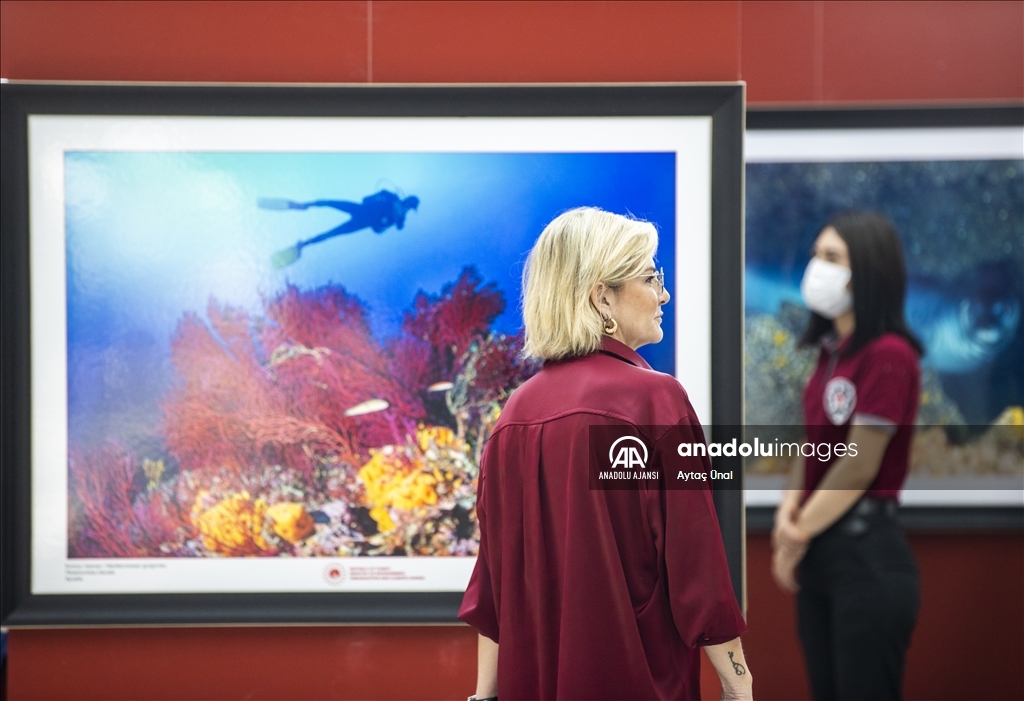 Tahsin Ceylan'ın "Akdeniz'i Tüketmeyelim" fotoğraf sergisi - Anadolu Ajansı