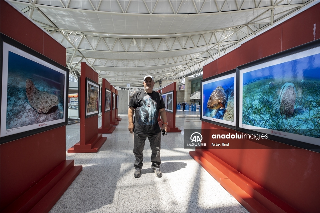 Tahsin Ceylan'ın "Akdeniz'i Tüketmeyelim" fotoğraf sergisi - Anadolu Ajansı