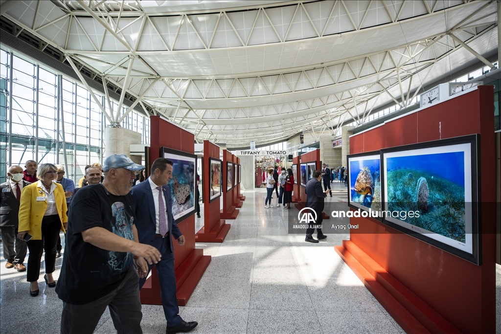 Tahsin Ceylan'ın "Akdeniz'i Tüketmeyelim" fotoğraf sergisi - Anadolu Ajansı