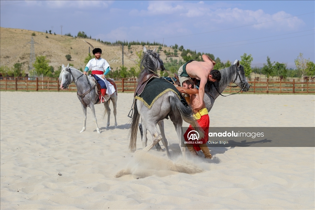 Sultan Alparslan'ın diyarında gösteri yapacak atlara özel bakım ...