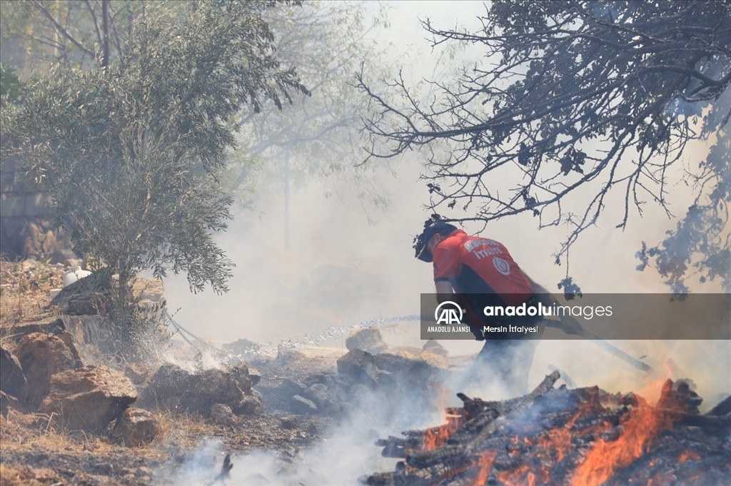 Mersin'de çıkan orman yangınına müdahale ediliyor - Anadolu Ajansı