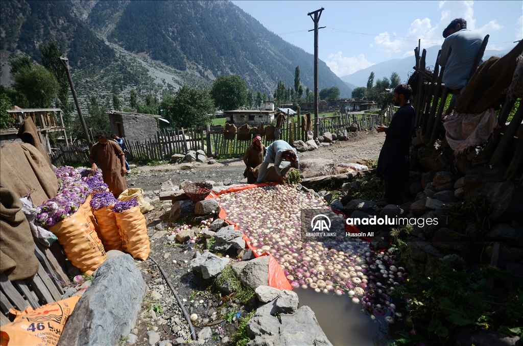 Pakistan'ın Svat bölgesindeki selin yol açtığı yıkım, köylüleri zor ...