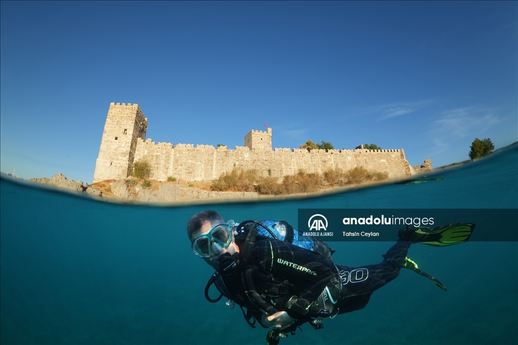 Bodrum'un su altı dünyasında tarih ve doğal yaşam bir arada görüntülendi