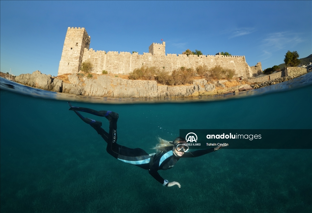 Bodrum'un su altı dünyasında tarih ve doğal yaşam bir arada görüntülendi