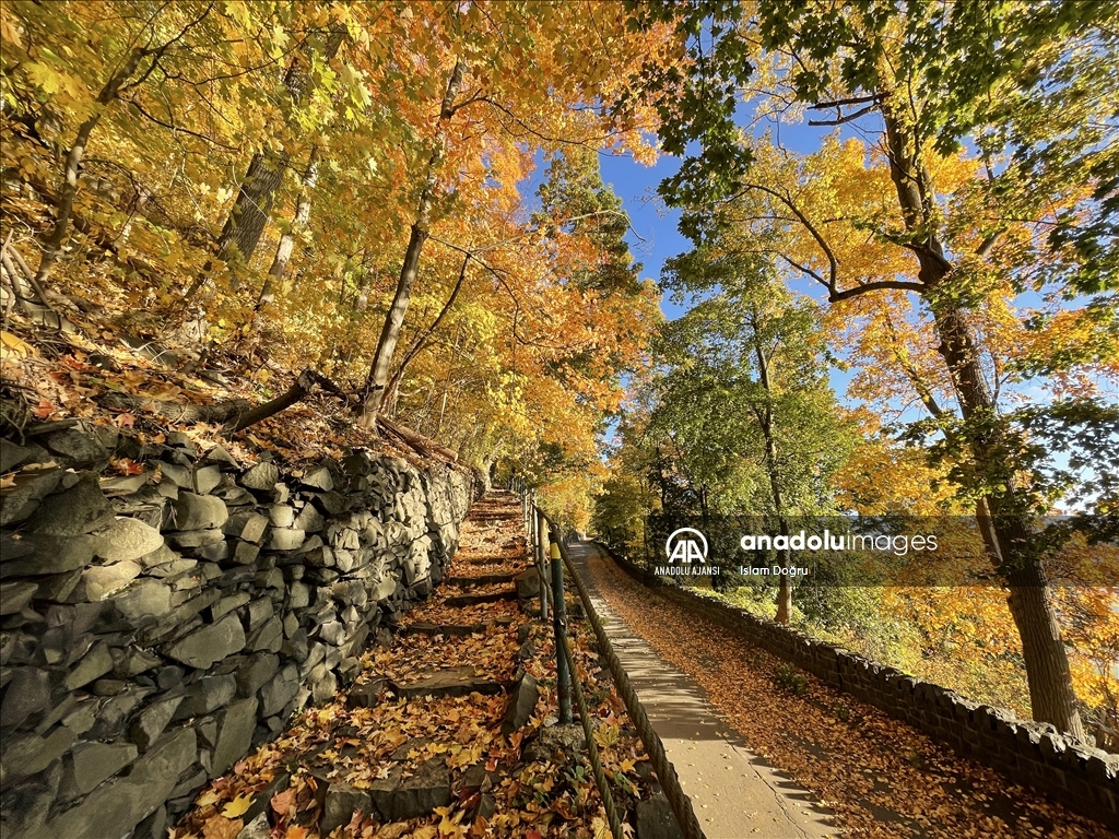 ABD’nin New Jersey eyaletinde sonbahar - Anadolu Ajansı