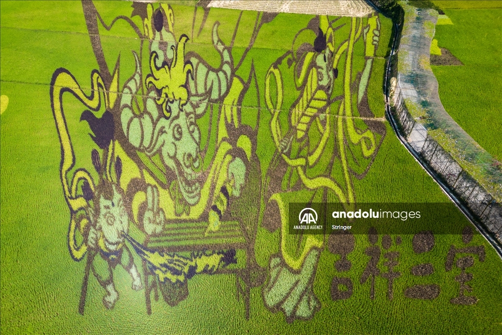 3D painted rice field in China's Nanning - Anadolu Ajansı