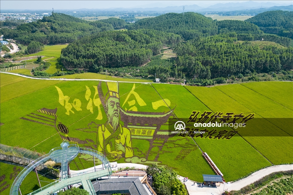 3D painted rice field in China's Nanning - Anadolu Ajansı