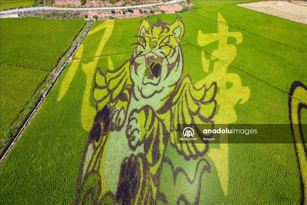 3D painted rice field in China's Nanning - Anadolu Ajansı