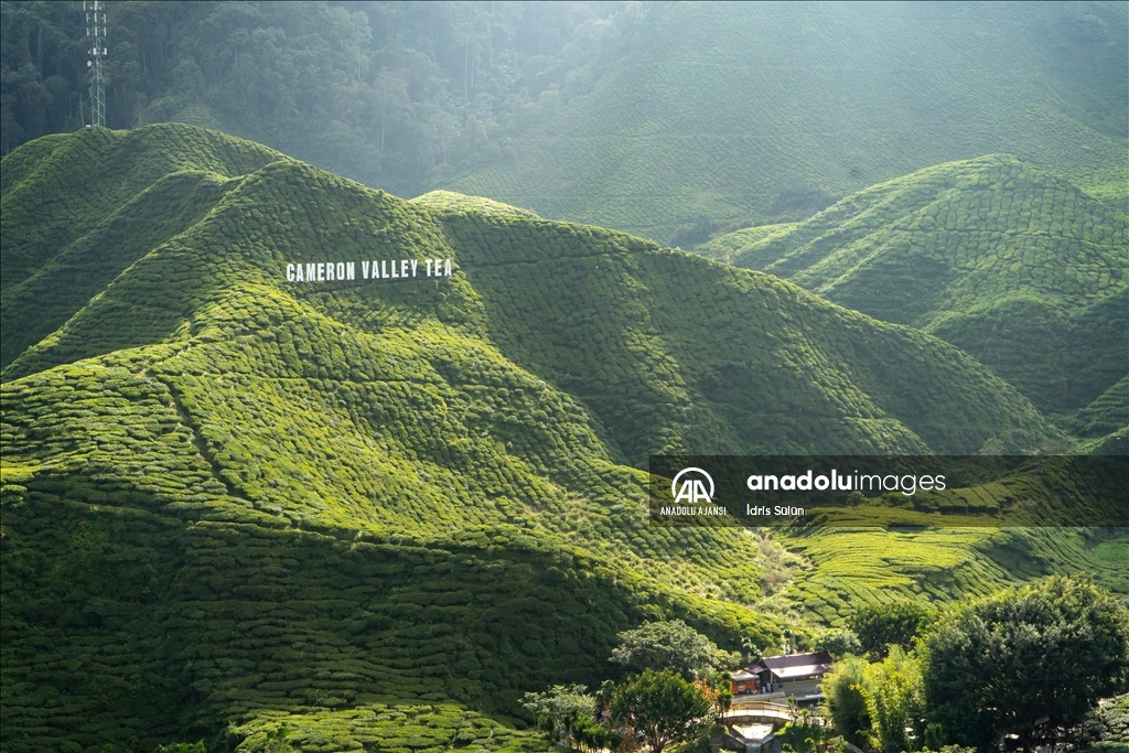 Malezya'nın bazı eyaletlerindeki doğa güzellikleri - Anadolu Ajansı