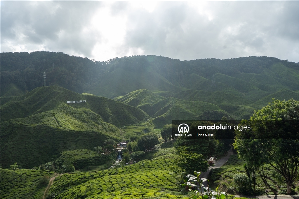 Malezya'nın bazı eyaletlerindeki doğa güzellikleri - Anadolu Ajansı