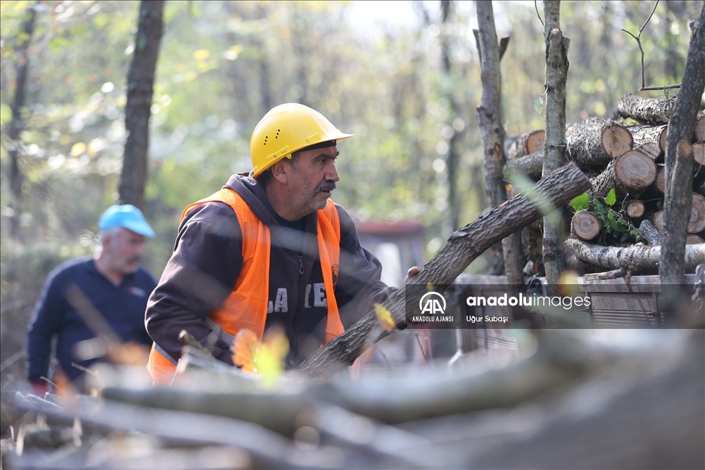 Ormanlarda bakım çalışmalarından elde edilen odunlar orman köylüsüne ...