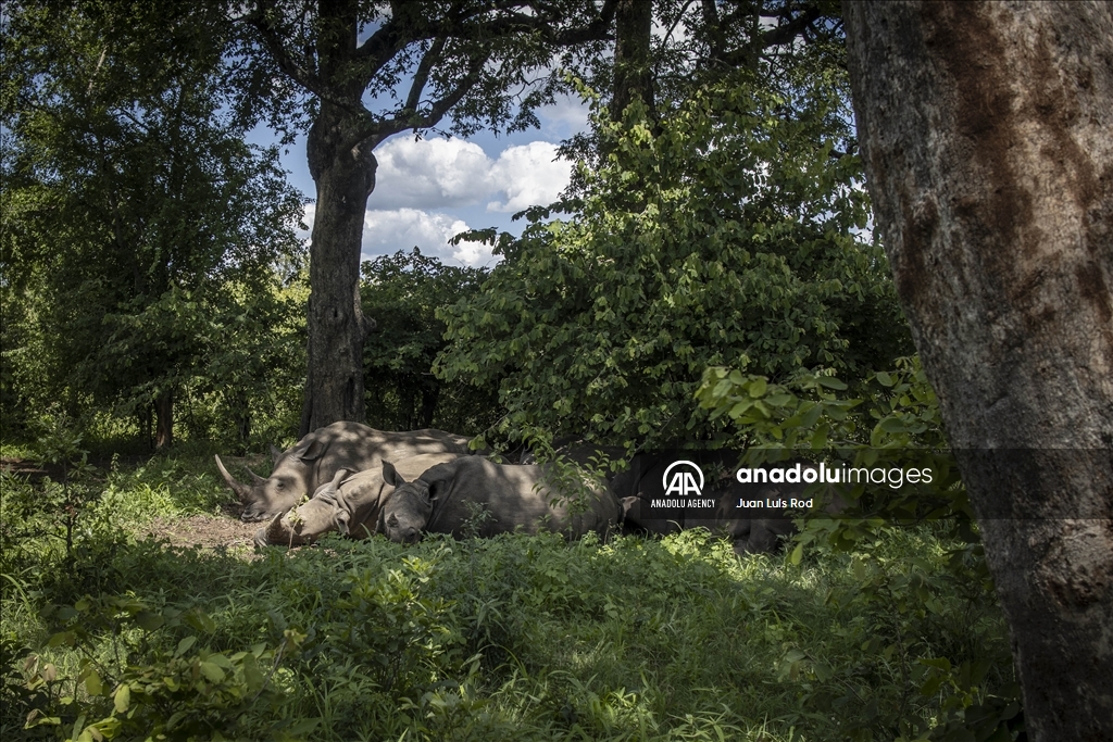 Mosi-oa-Tunya National Park in Zambia - Anadolu Ajansı