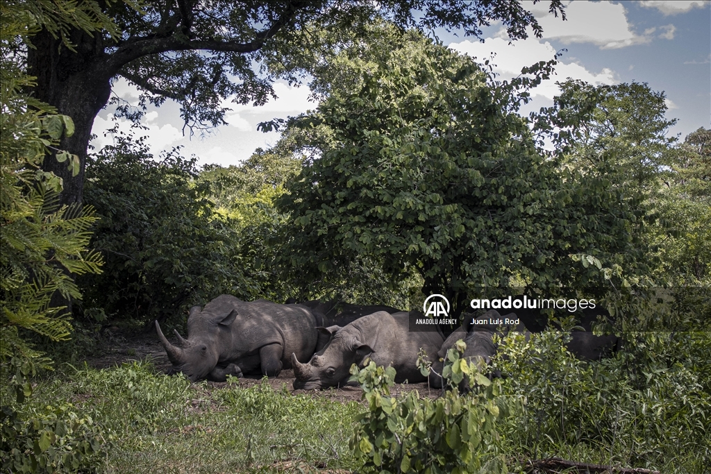 Mosi-oa-Tunya National Park in Zambia - Anadolu Ajansı