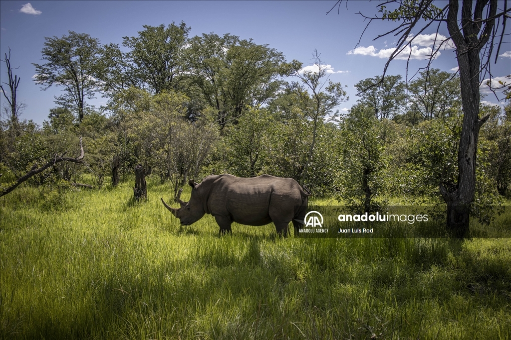 Mosi-oa-Tunya National Park in Zambia - Anadolu Ajansı