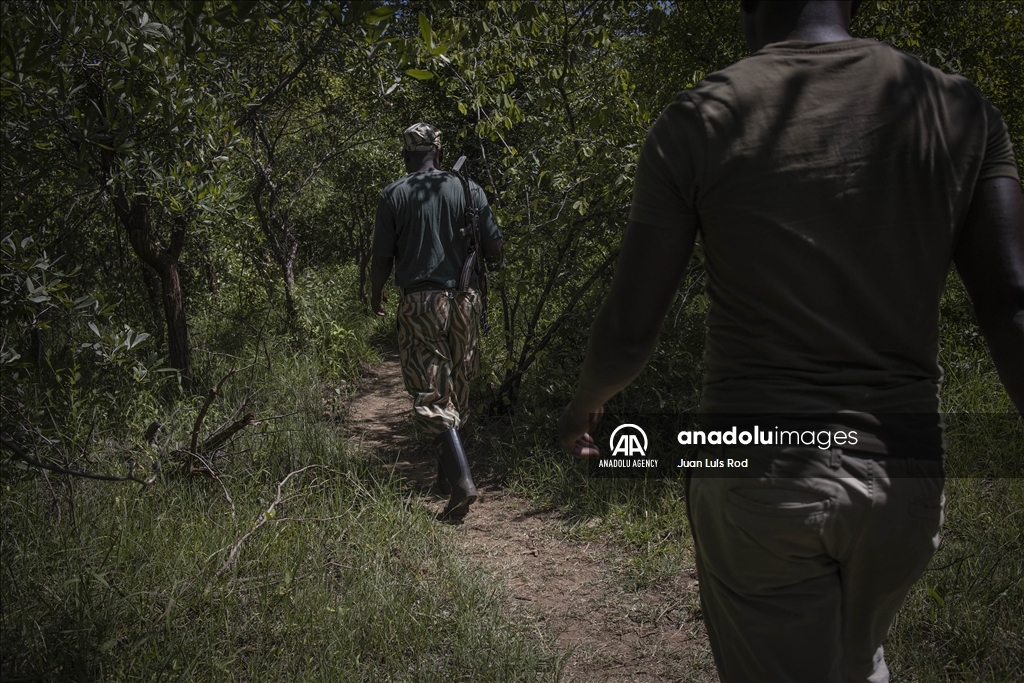 Mosi-oa-Tunya National Park in Zambia - Anadolu Ajansı