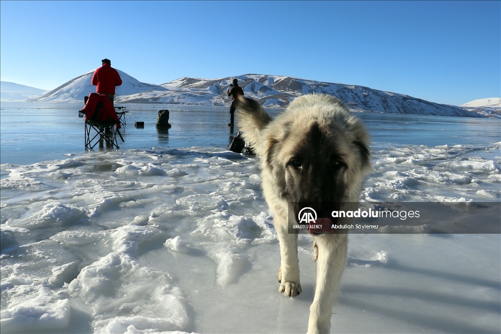 Ice-covered Lake Balik in Türkiye’s eastern Agri province - Anadolu Ajansı