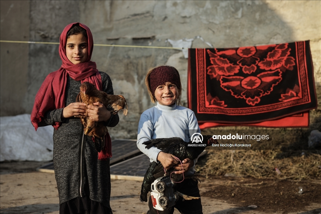 Nearly 500 displaced Syrian families live under harsh conditions in ...