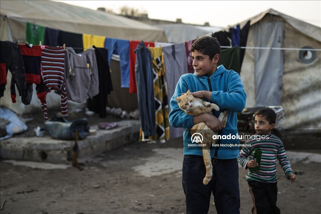 Nearly 500 displaced Syrian families live under harsh conditions in ...