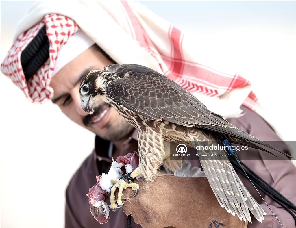 Falconers taking part in the 14th International Marmi Festival in ...