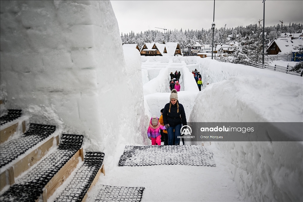 People try to find their way out from a maze in Poland's famous ...