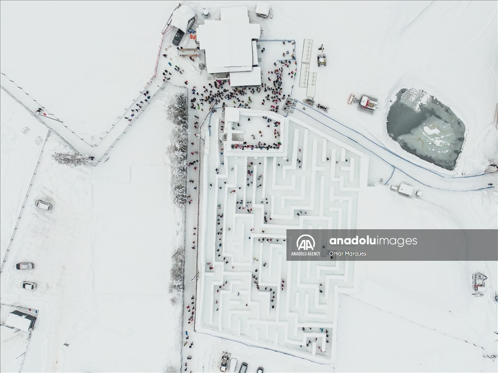 People try to find their way out from a maze in Poland's famous ...