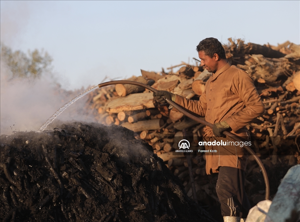 Mısır'da odun kömürü işçilerinin zorlu mesaisi - Anadolu Ajansı