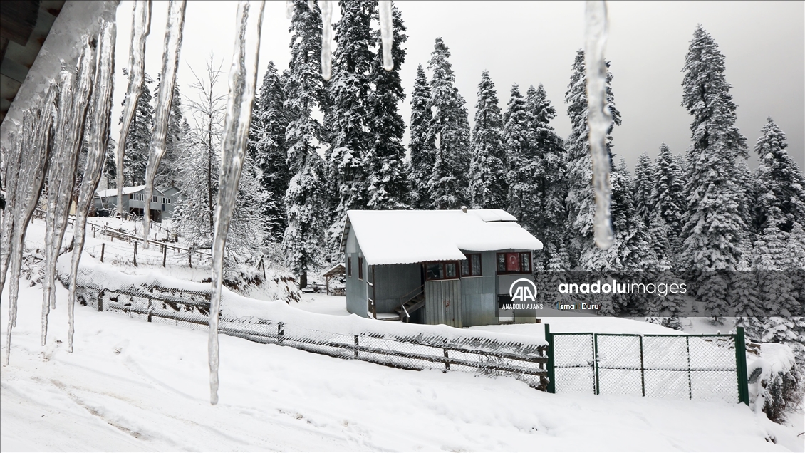 Bolu'da kar yağışı - Anadolu Ajansı