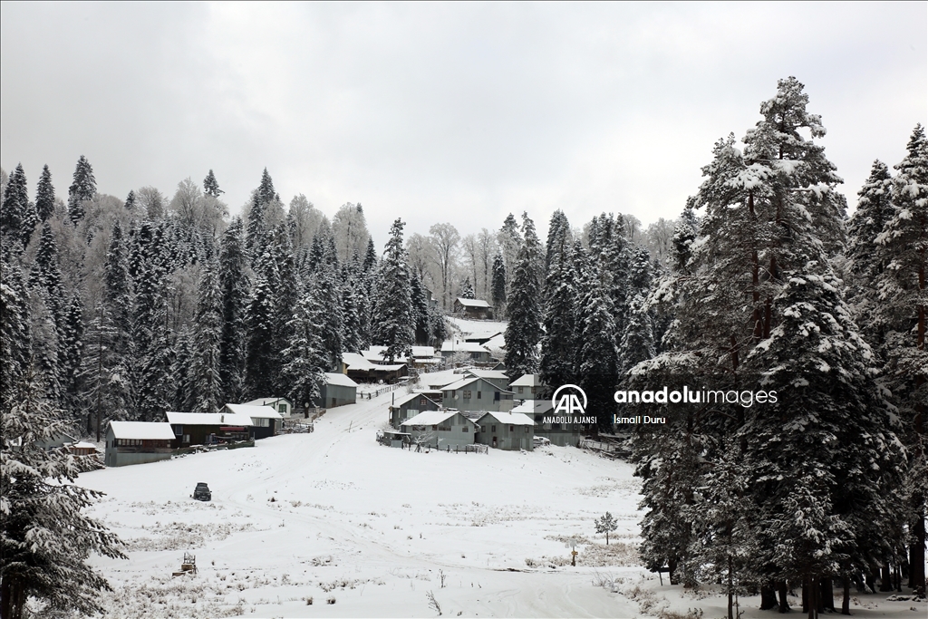 Bolu'da kar yağışı - Anadolu Ajansı
