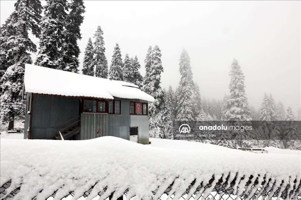 Bolu'da kar yağışı - Anadolu Ajansı