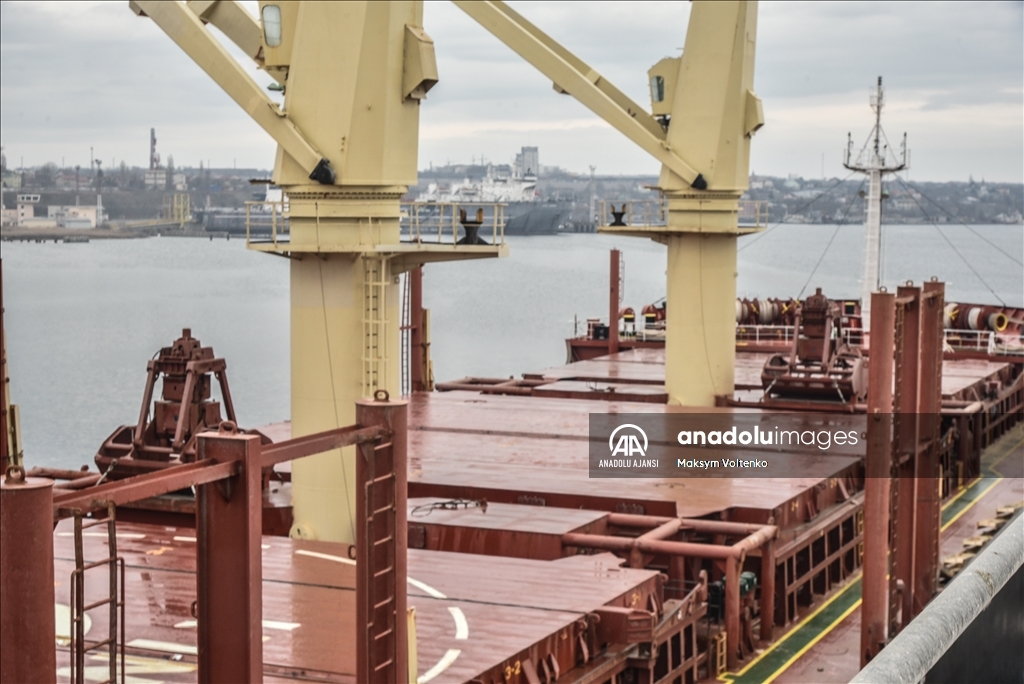 Dünya Gıda Programı kapsamında Ukrayna 20 bin ton buğday yardımında bulundu - Anadolu Ajansı