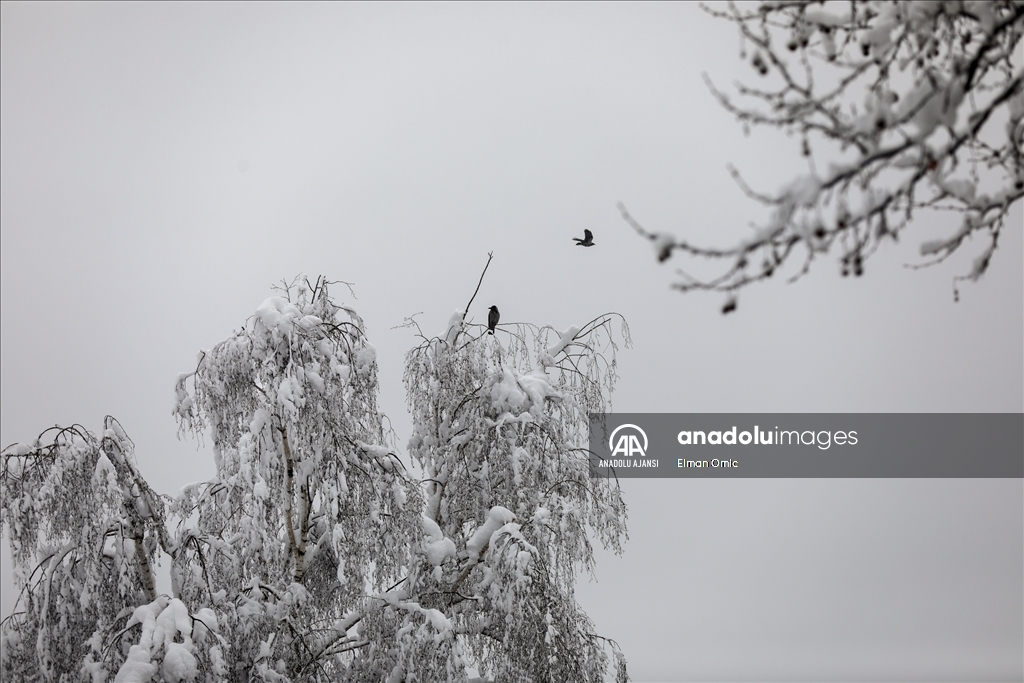 Saraybosna'da etkili olan yoğun kar yağışı hayatı olumsuz etkiledi ...