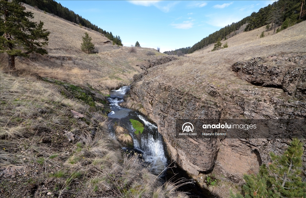 Kars'taki Keklik Vadisi'nde doğa canlandı - Anadolu Ajansı