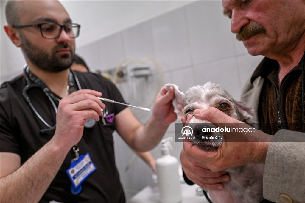 Can dostların şifacı elleri veterinerler - Anadolu Ajansı