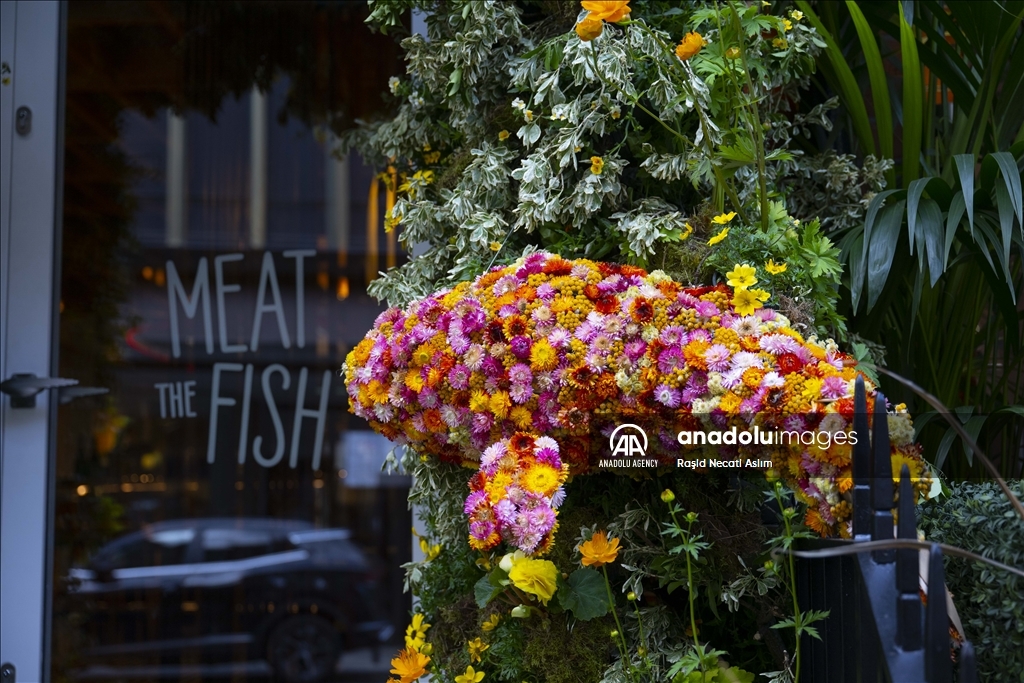 ''Chelsea in Bloom'' event with theme ''Flowers On Film'' in London ...
