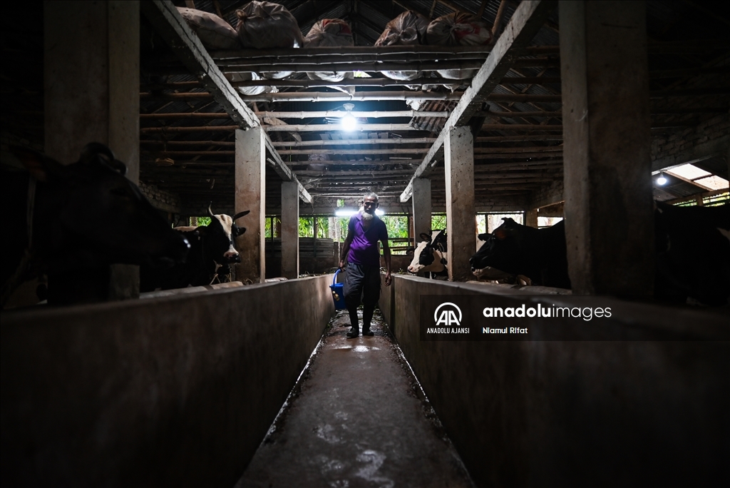 1 Haziran Dünya Süt Günü - Anadolu Ajansı