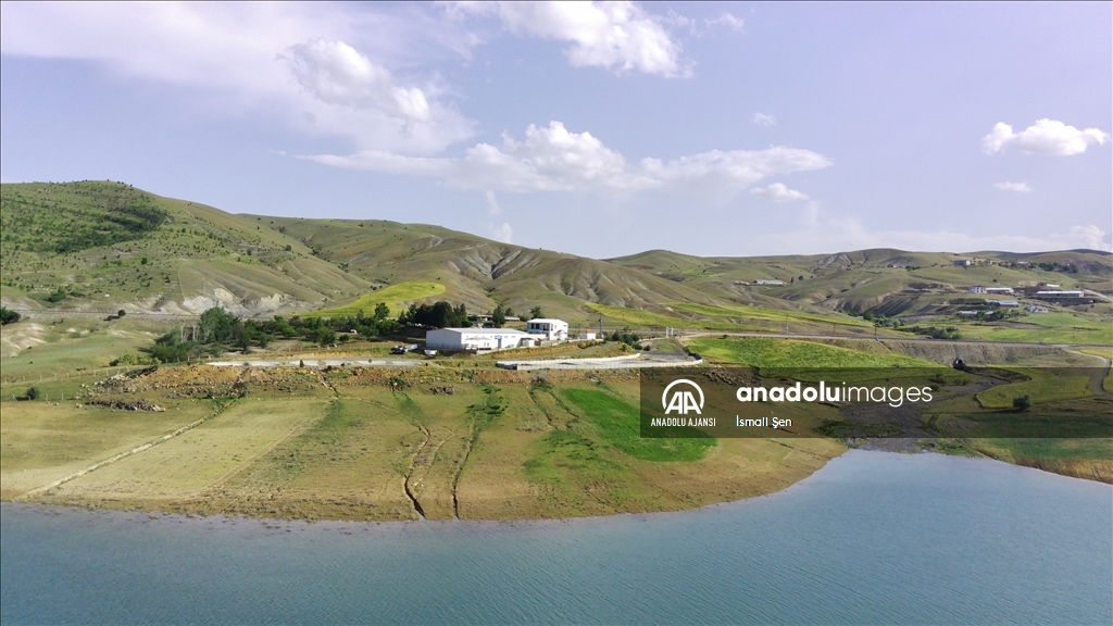 Elazığ'da bu yıl 700 bin siraz balığı yavrusu ekonomiye kazandırılacak ...