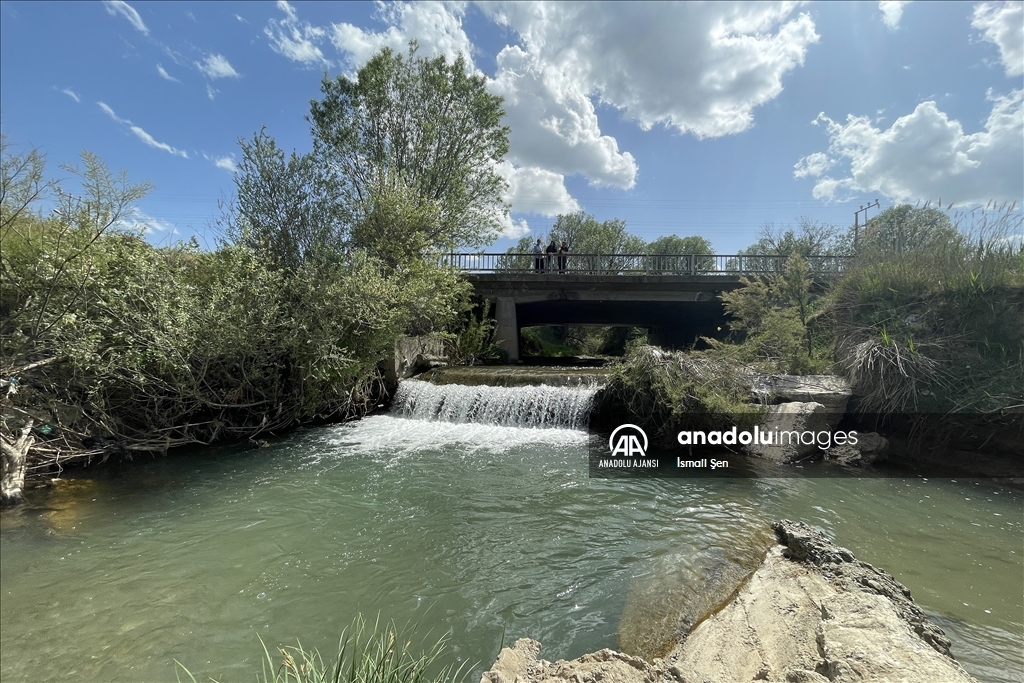 Elazığ'da bu yıl 700 bin siraz balığı yavrusu ekonomiye kazandırılacak ...