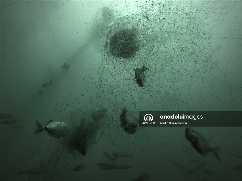 Cleaning of "ghost nets" in Senegal - Anadolu Ajansı